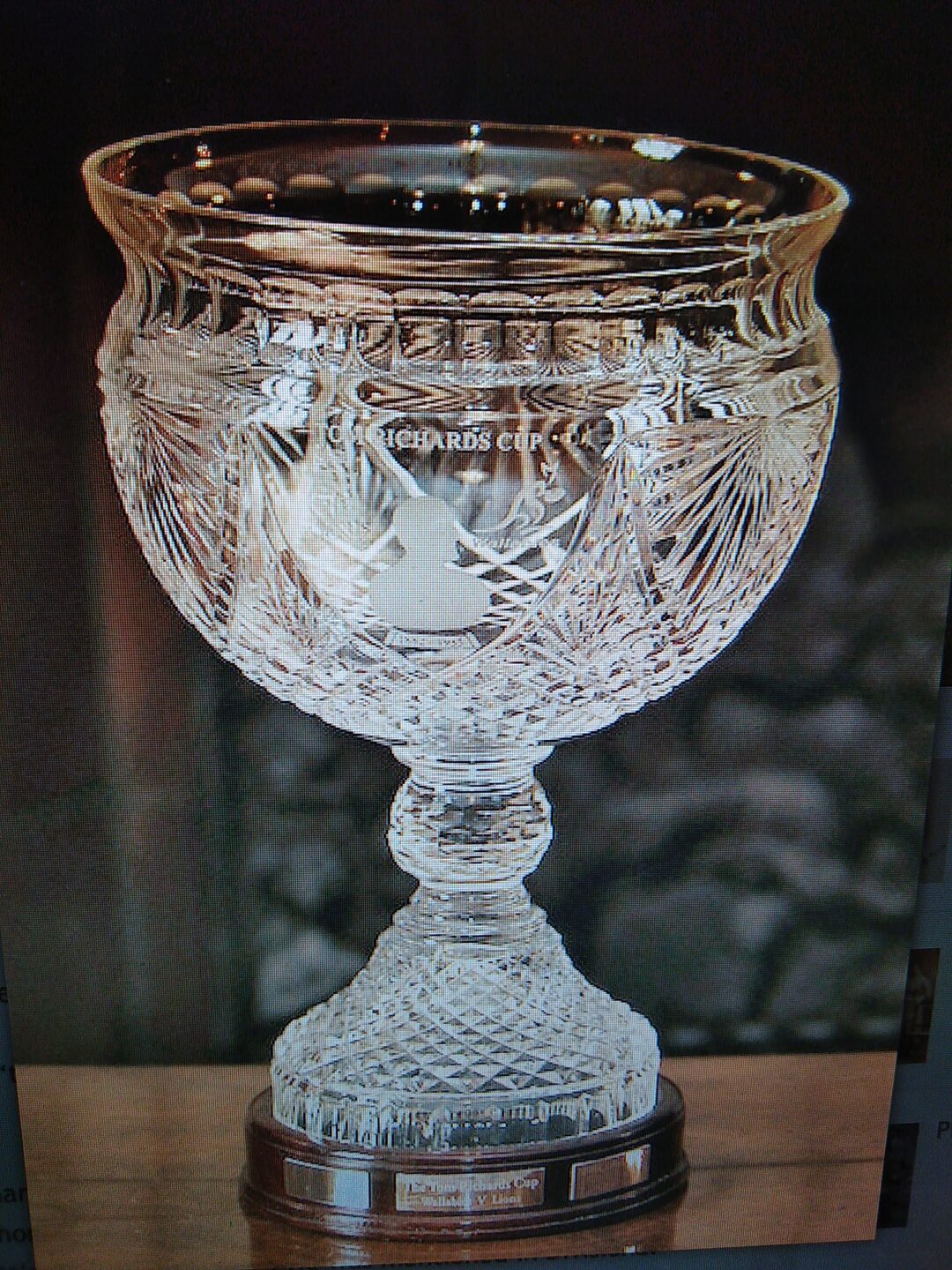 ‘Rusty’: The Remarkable Life of a ‘Wallaby’ who became a ‘Lion ...